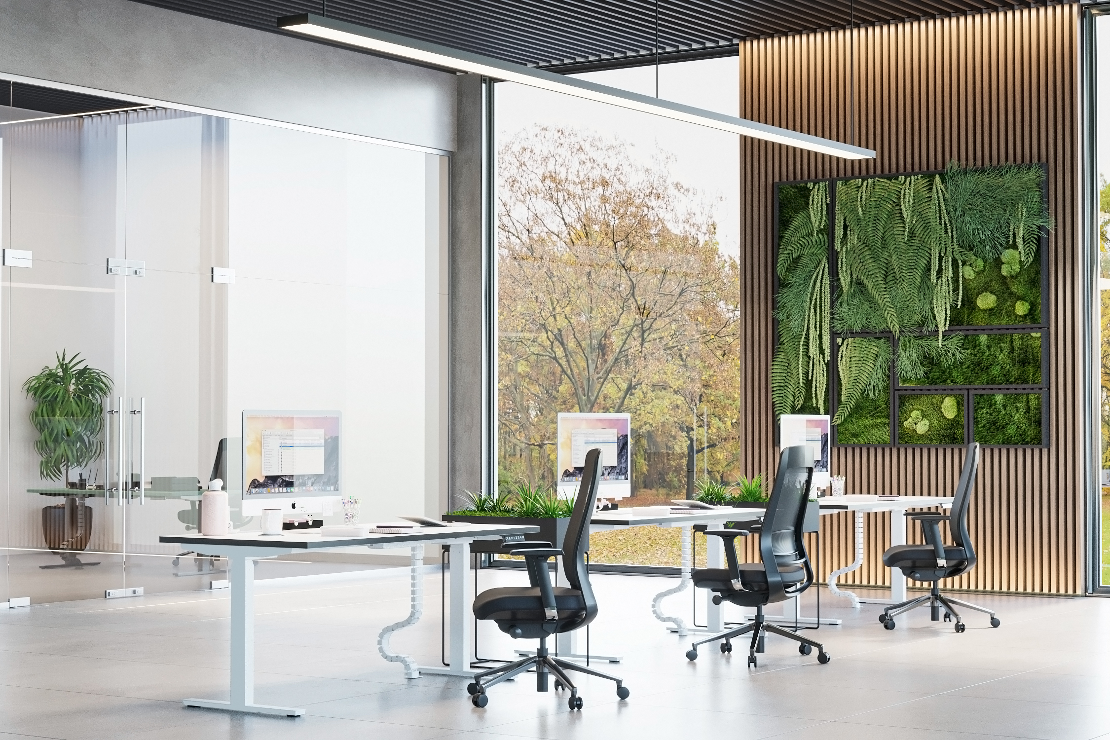 Organic Office Spaces: Enhancing Wellbeing with Natural Elem