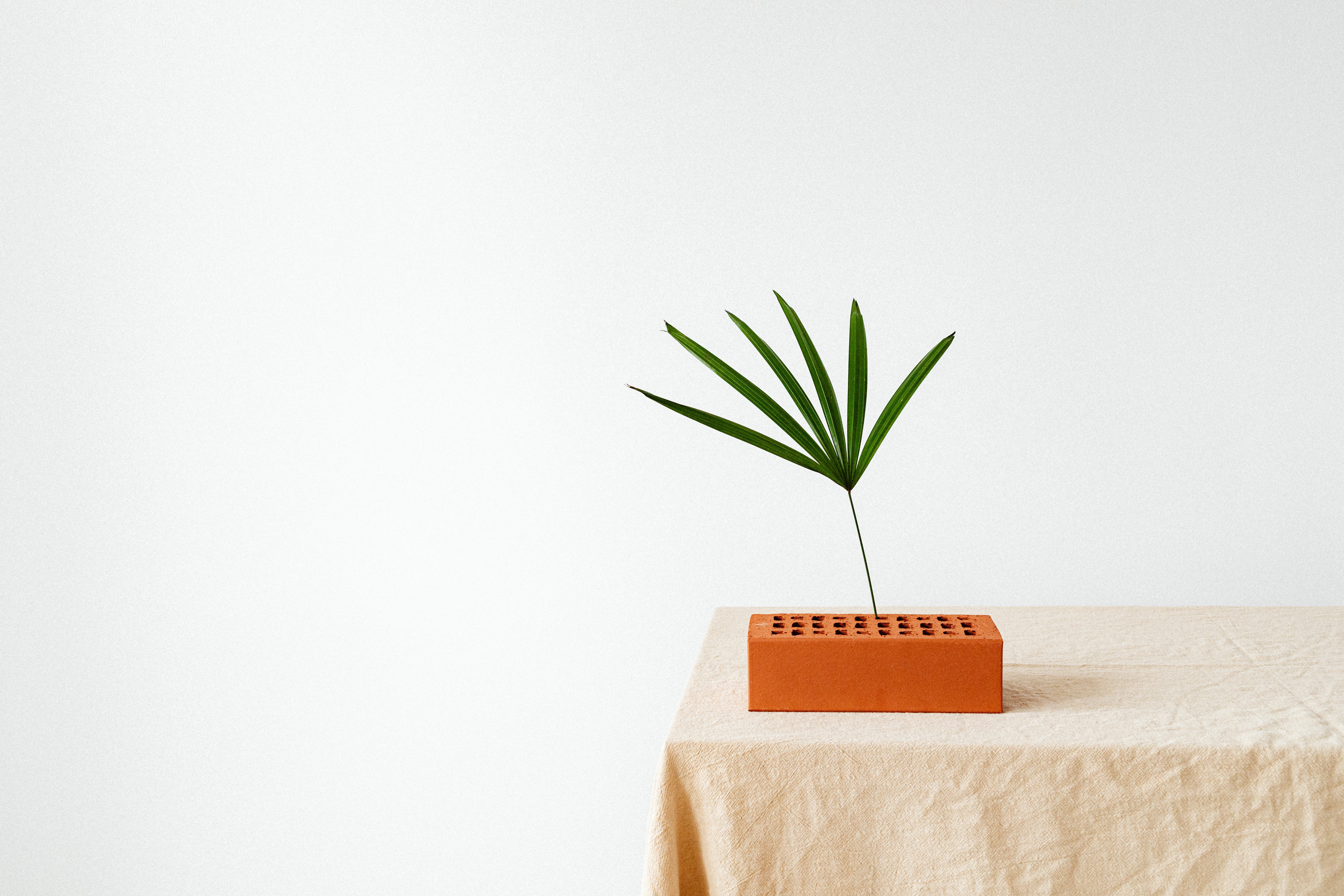 Eco-Smart Workspaces: Creating a Sustainable Future with Office Furniture